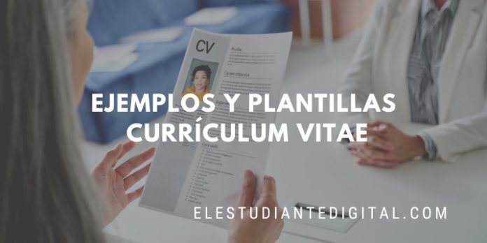 3 Ejemplos de Currículum Vitae: Plantillas para editar en Word